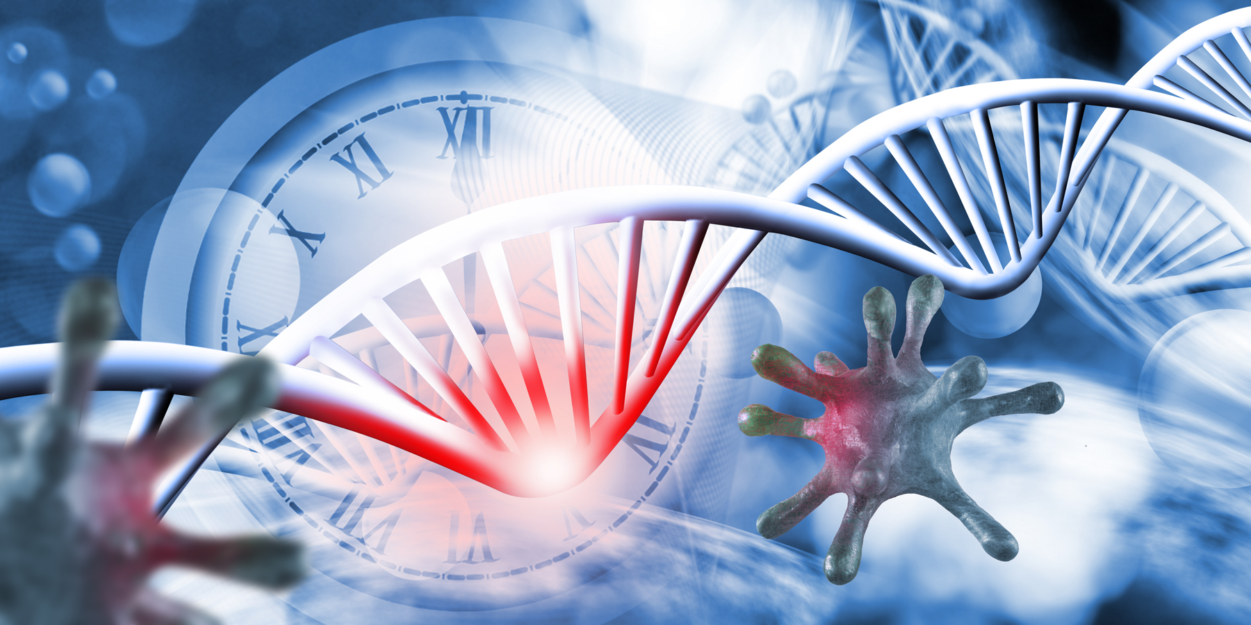 Differences Between DHEA and DHEA-S - Access Medical Labs